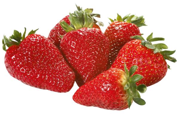 O+G Beeren, Erdbeeren Premium, 1 KG/KT