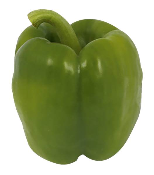 AGF groene paprika, klasse 1 1 ST