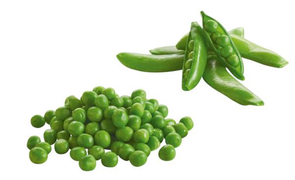 TK Base Culinar DF BC Green Peas medium fine 10kg 10 KG/CT