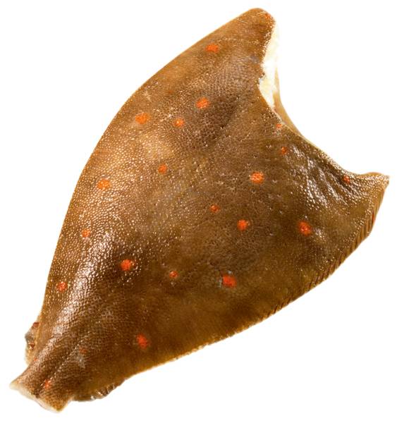 TK Star Culinar DF SC Plaice pan ready 250-300g 5 KG/CT