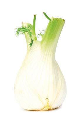 Fennikel KL1 Italien, stk.