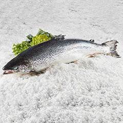 Laks, hel, med hoved, fersk, 5-6 kg