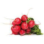 Radiser med top KL1 Holland, bdt.